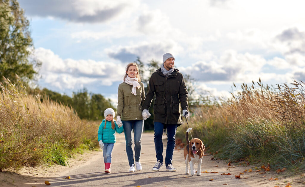 Our Top 5 Dog Walks in Warwickshire - Avon Estates Ltd.